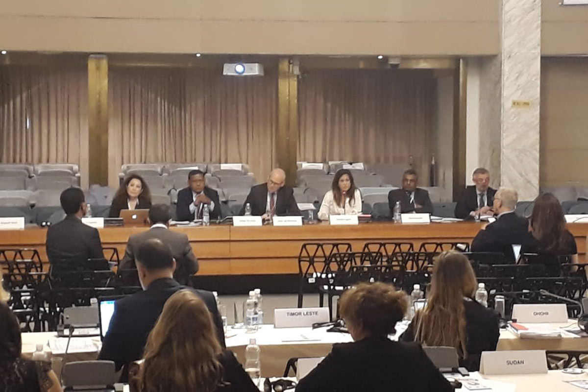 ACCORD’s Executive Director addresses SDG 16 Conference in Rome, Italy ...