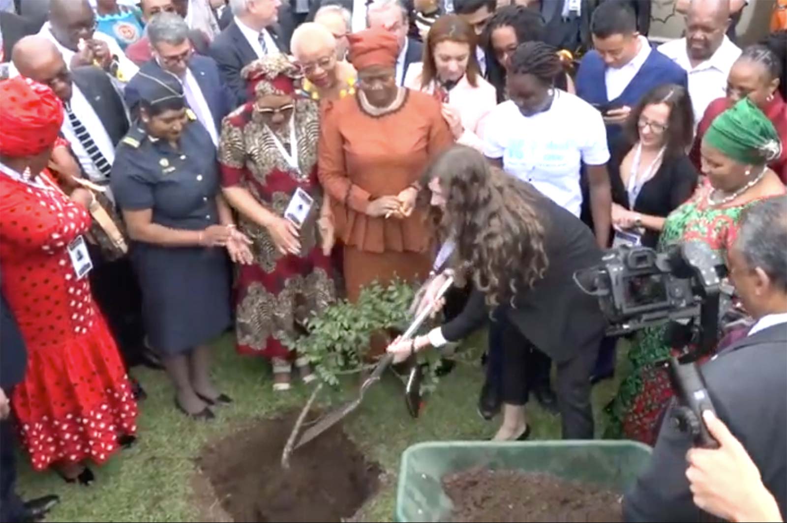 Highlights from the Launch of the Plant Trees Not Bombs Campaign ...